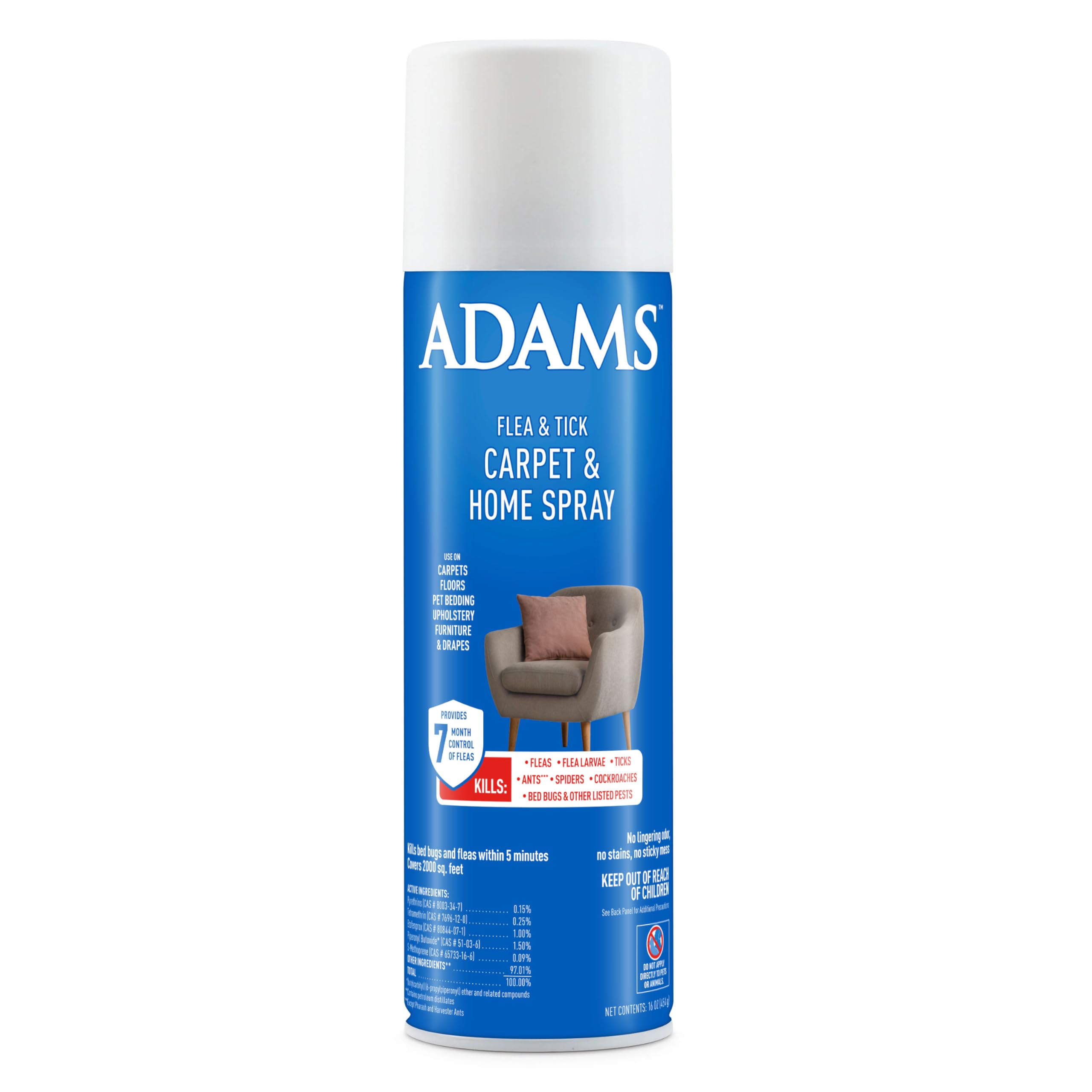 Adams Auto Care - Your One-Stop Shop for Automotive Cleaning and ...